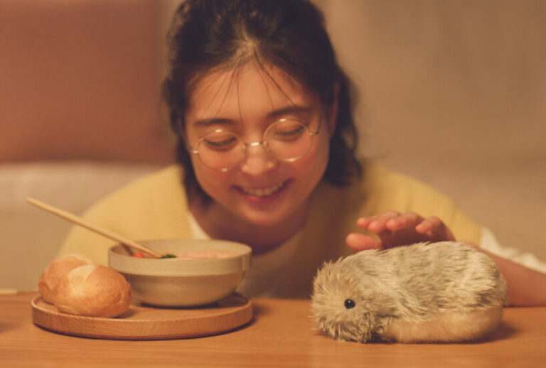 casio’s AI pet robot moflin gets emotionally attached with owners ...