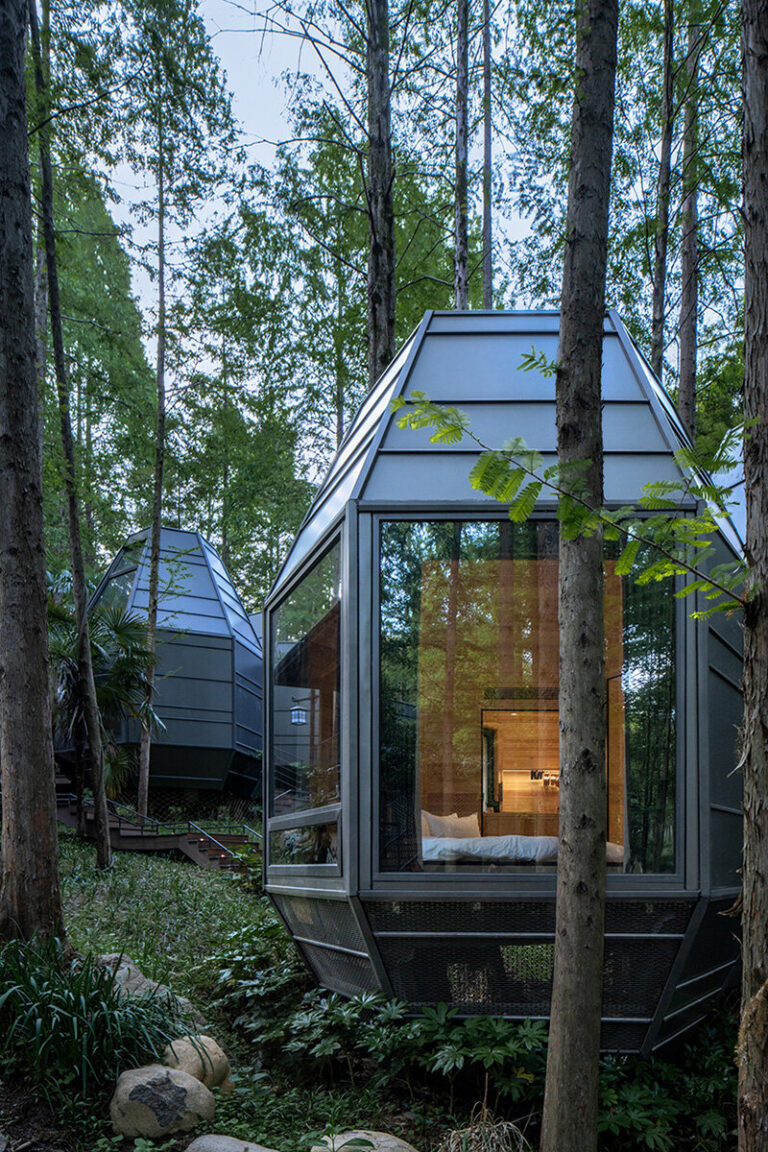 GLA design elevates detached hotel cabins amid towering trees in ...