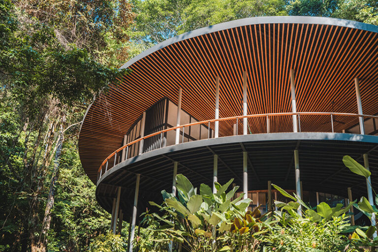 studio saxe plans circular 'sinfonia verde' stilt house in costa rica
