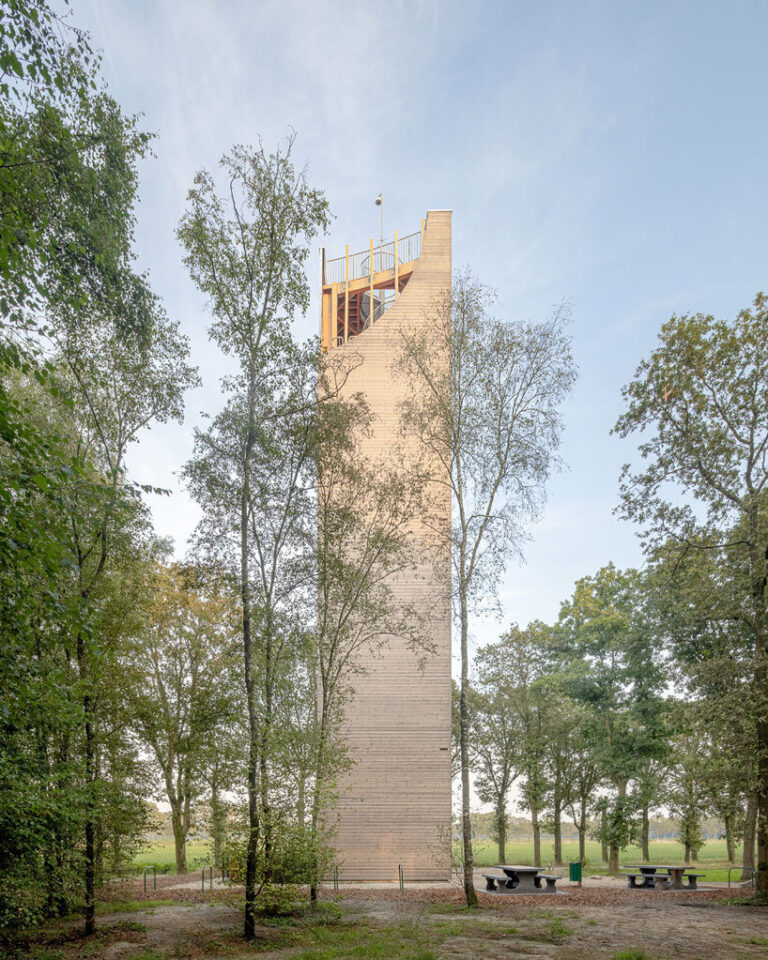 curved aperture in NEXT architects' watchtower reveals wooden frame