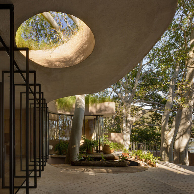 circular voids embrace mexico's ancestral trees in eco-conscious residence by MCxA group