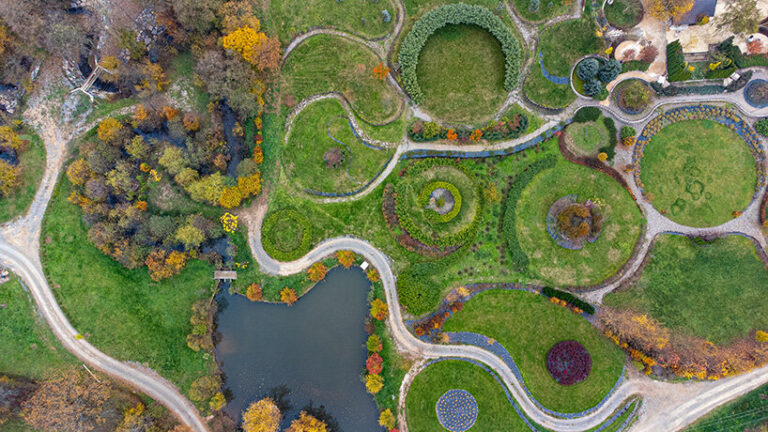 van gogh’s starry night blossoms through lavender fields for bosnian ...