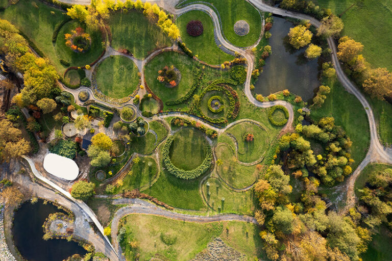 van gogh’s starry night blossoms through lavender fields for bosnian ...