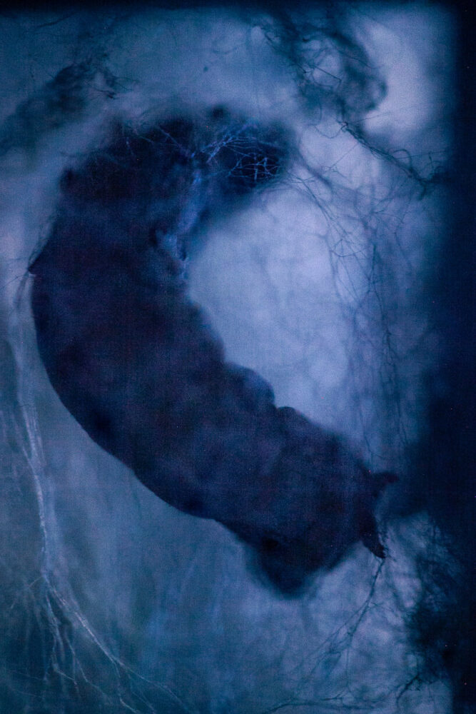 rewoven silk cocoon waste emerges as leather alternative for clothing ...