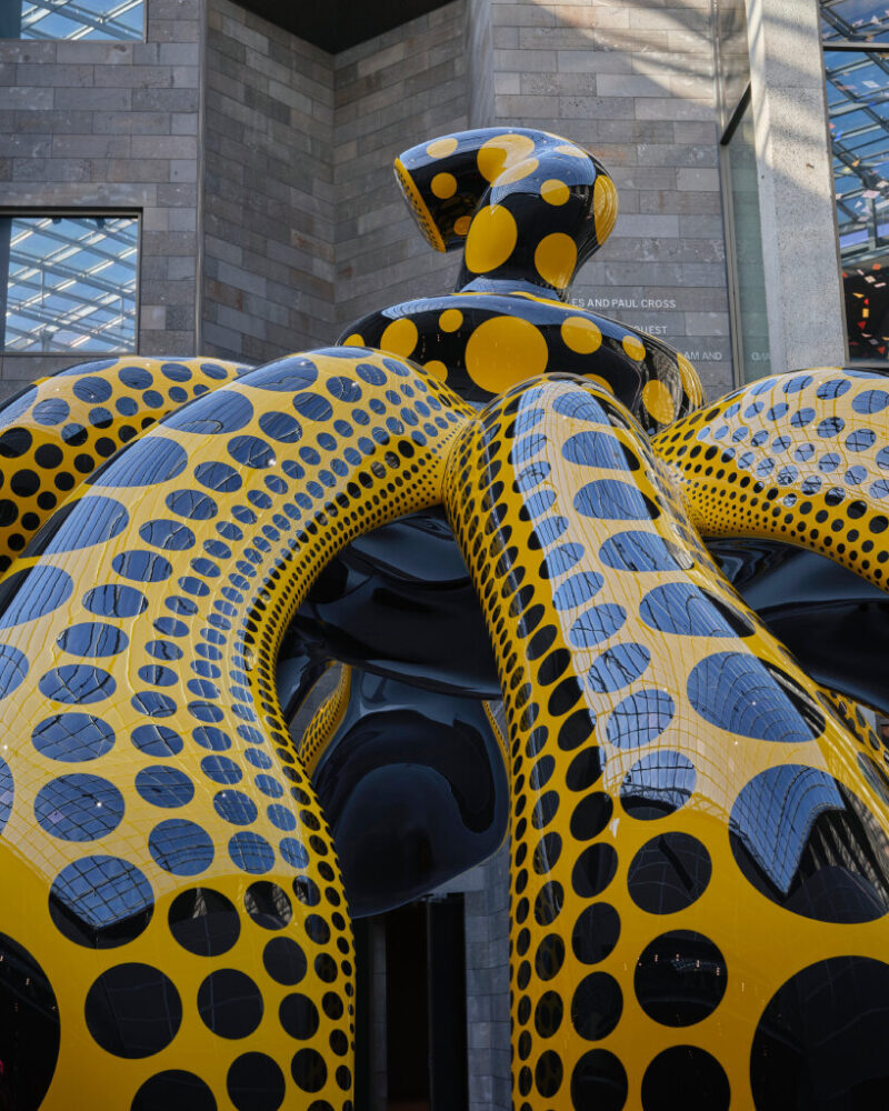 yayoi kusama wraps trees in polka dots ahead of exhibition at NGV