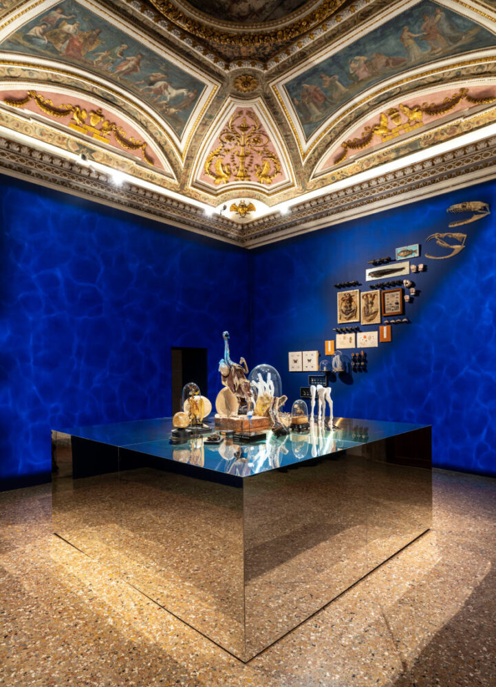a cabinet of wonders exhibits science artifacts at venice's palazzo grimani