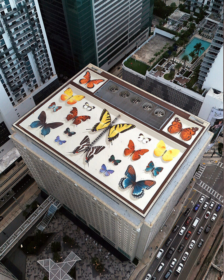 mantra brings his signature lifelike butterflies to miami’s largest rooftop mural