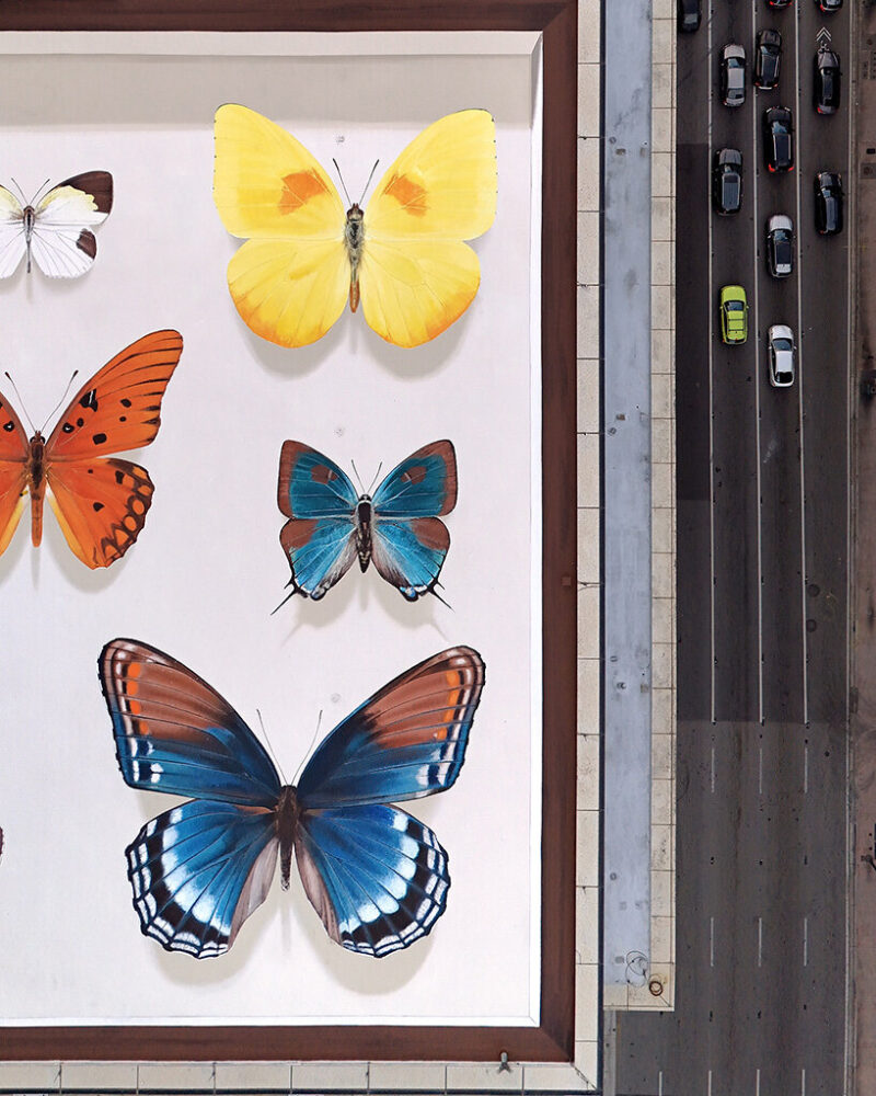 mantra brings his signature lifelike butterflies to miami’s largest rooftop mural
