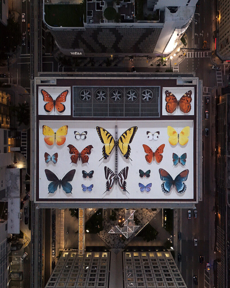mantra brings his signature lifelike butterflies to miami’s largest rooftop mural