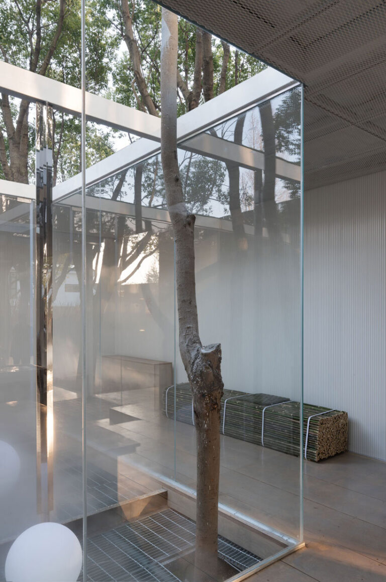 FG studio's ye café wraps glass walls around trees in shanghai