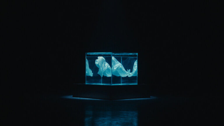 inside gozen’s biomaterial and nanocellulose textile 'lunaform'