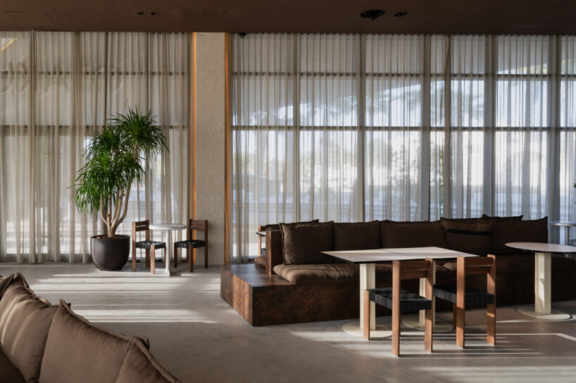 shell+core’s cafe in abu dhabi embraces wabi-sabi and brutalism