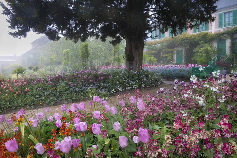 aileen bordman captures claude monet's blooming giverny gardens in NY ...