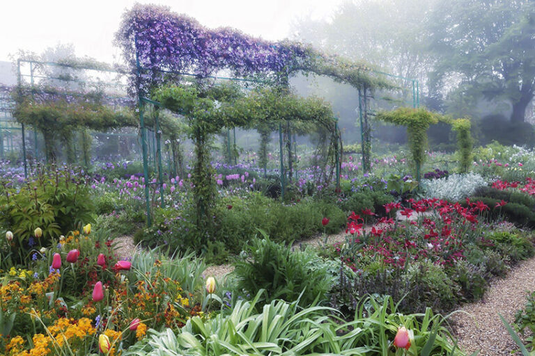 aileen bordman captures claude monet's blooming giverny gardens in NY ...