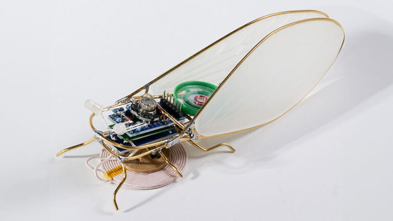 anne niemetz's kihikihi electronic insect orchestra composes sound ...