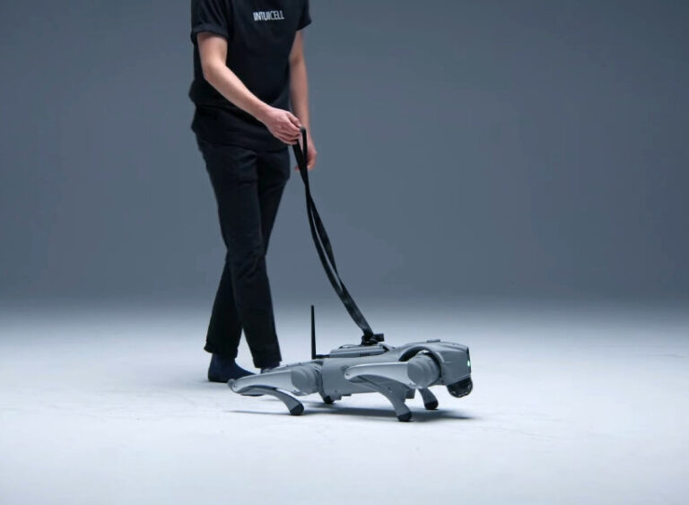 autonomous robot dog luna learns how to move on its own
