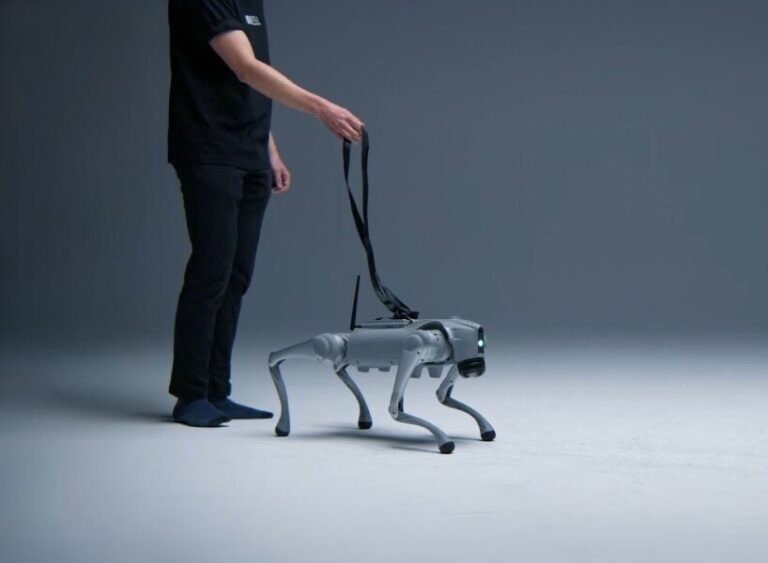 autonomous robot dog luna learns how to move on its own