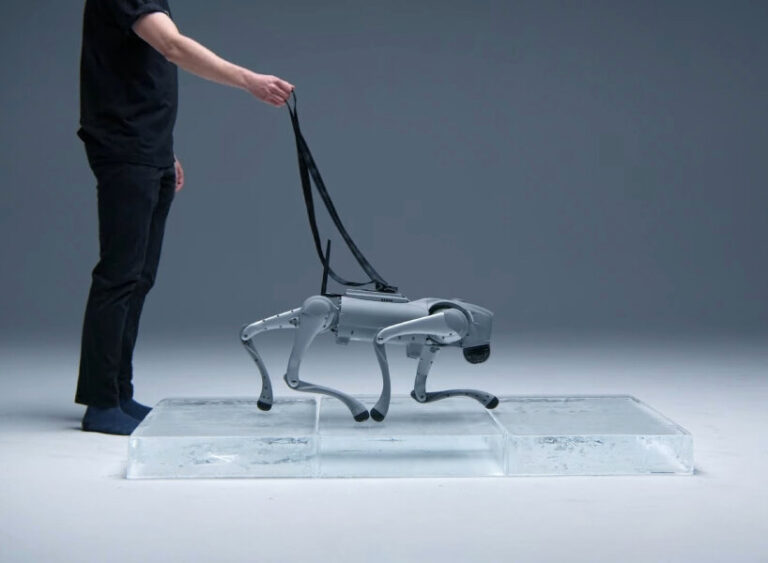 autonomous robot dog luna learns how to move on its own