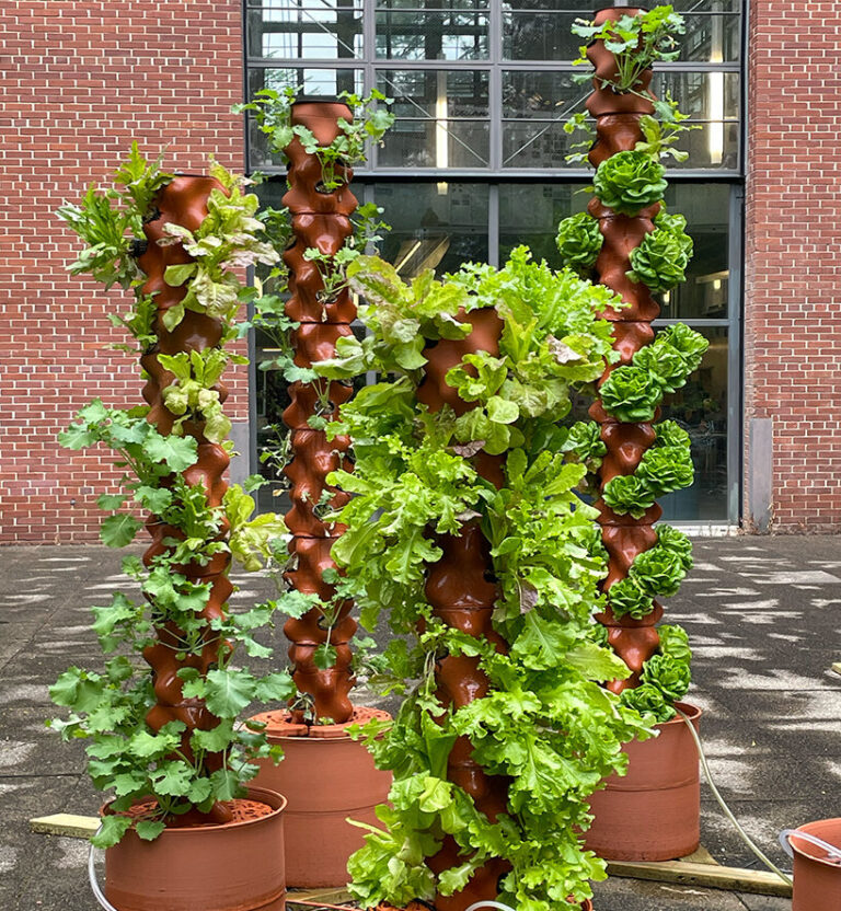 clay hydroponics by logman arja redefine urban food production with 3D ...