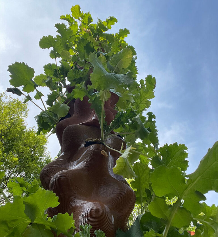 clay hydroponics by logman arja redefine urban food production with 3D ...