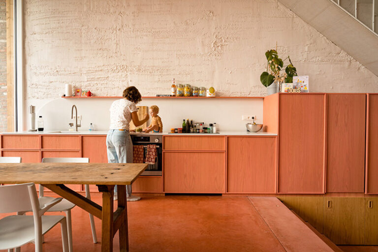 upcycled plastic scales wrap no.ma architecten's dragon house