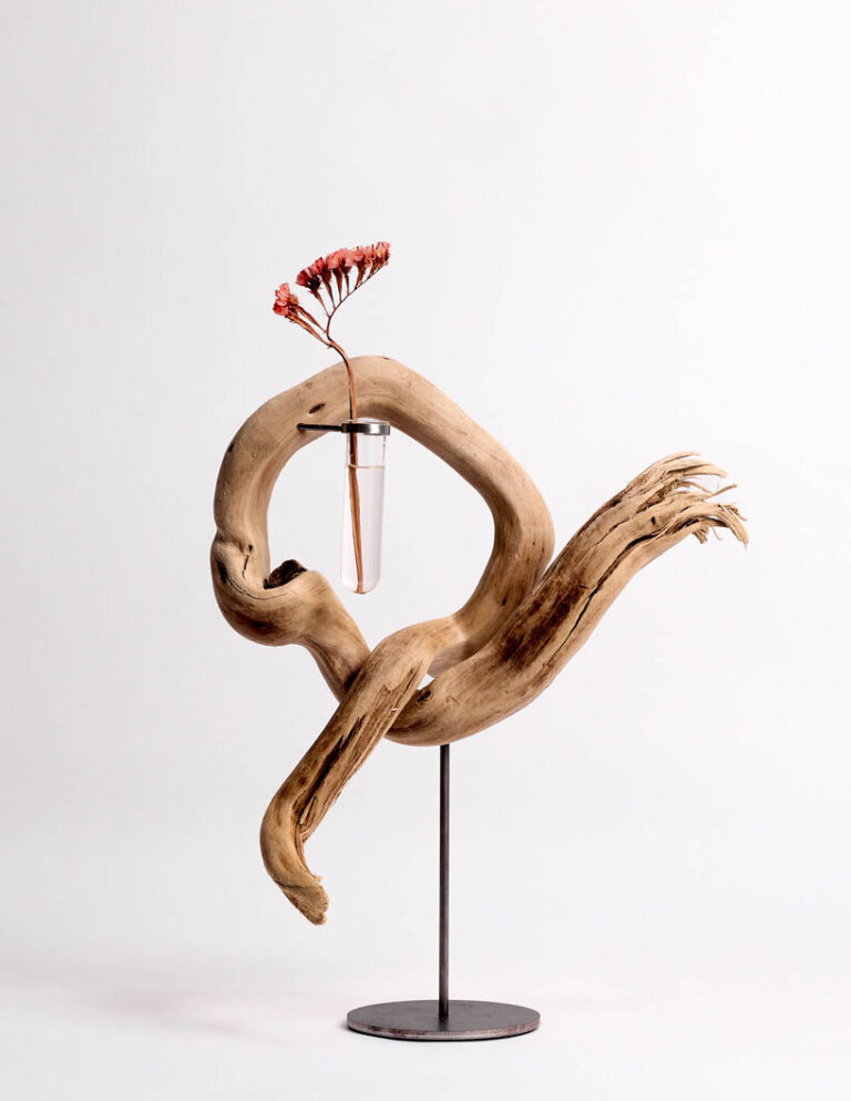 hector serrano repurposes roots into sculptural flower vases