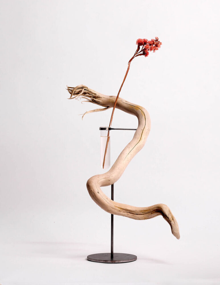 hector serrano repurposes roots into sculptural flower vases
