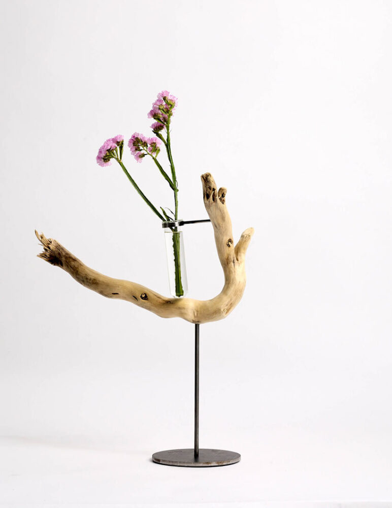 hector serrano repurposes roots into sculptural flower vases