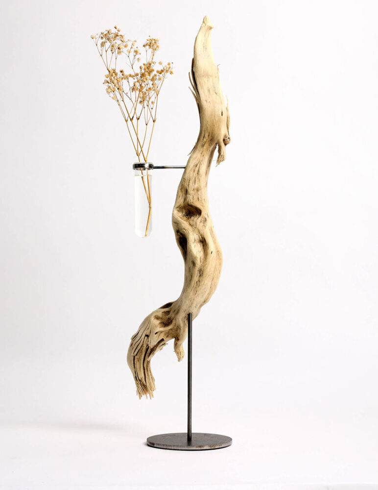 hector serrano repurposes roots into sculptural flower vases