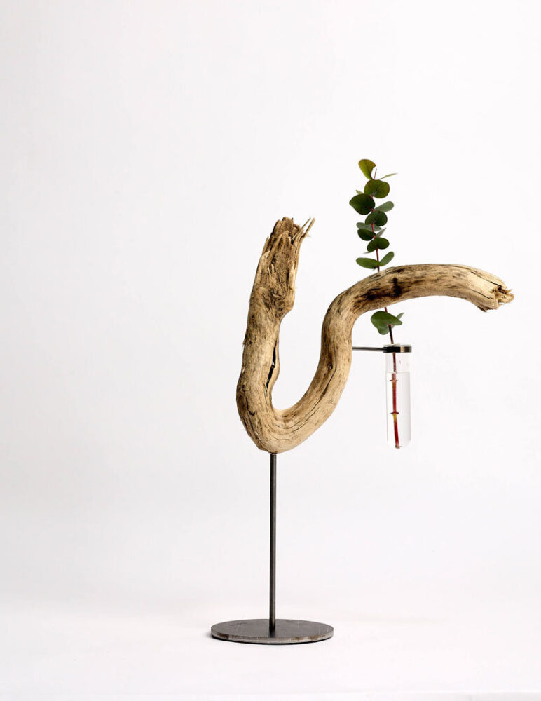 hector serrano repurposes roots into sculptural flower vases