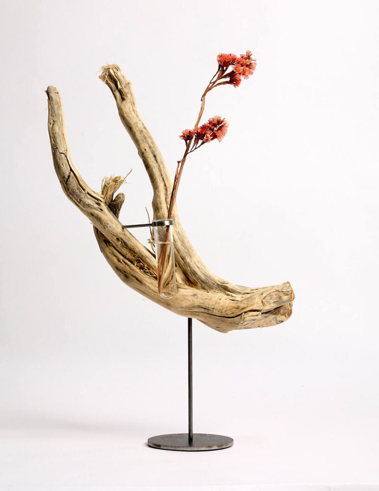 hector serrano repurposes roots into sculptural flower vases