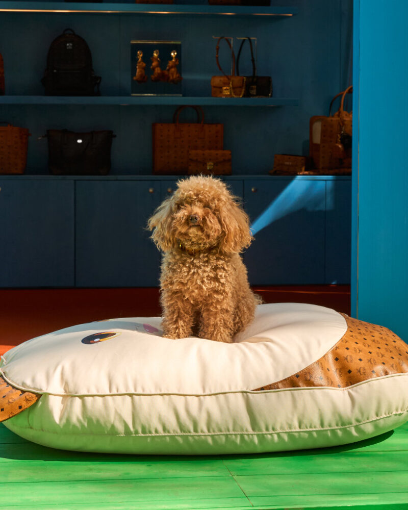 MCM and pet therapy reveal dog and cat-shaped poufs in milan