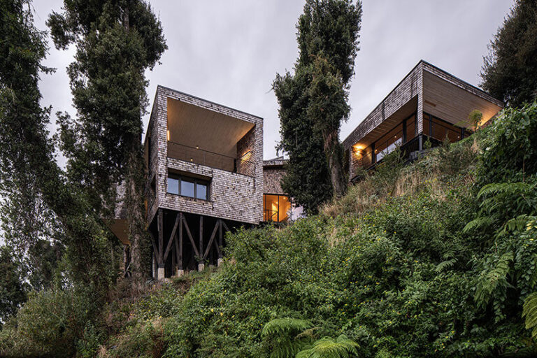 shingle-clad MM house by benjamin goñi arquitectos bridges the forested ...