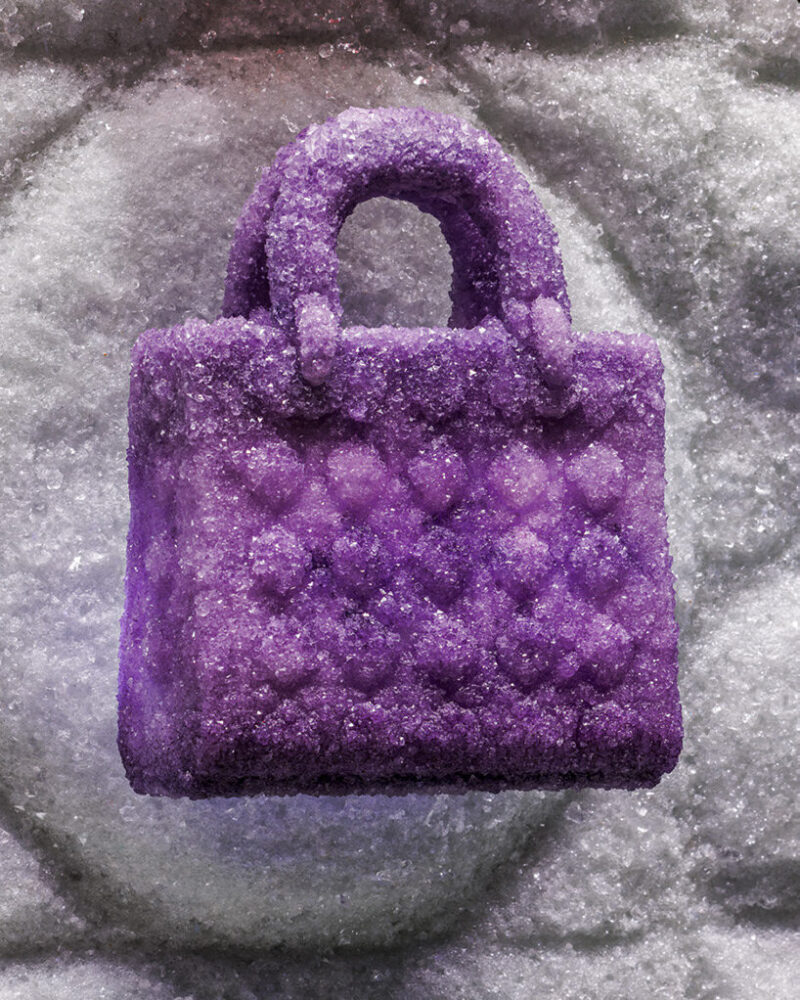 isaac monté grows crystallized artifacts from lady dior handbags