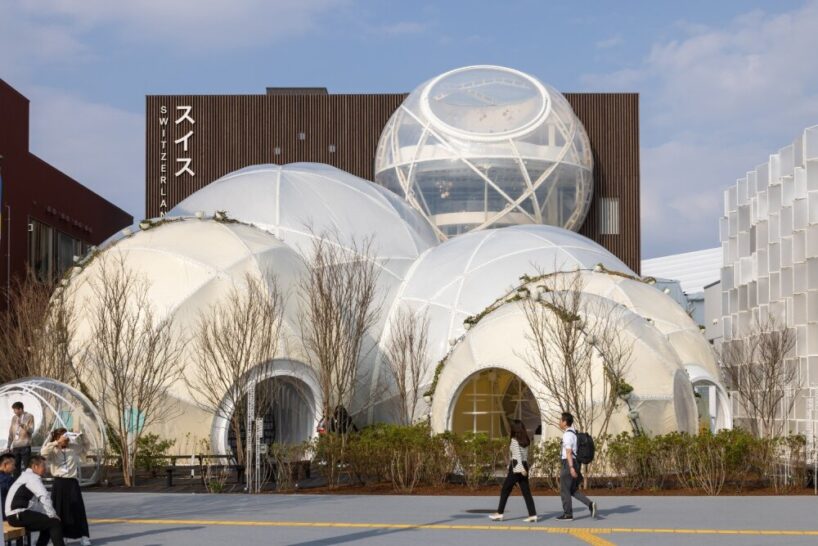 pavilions & timber masterplans: what's new at expo 2025 osaka