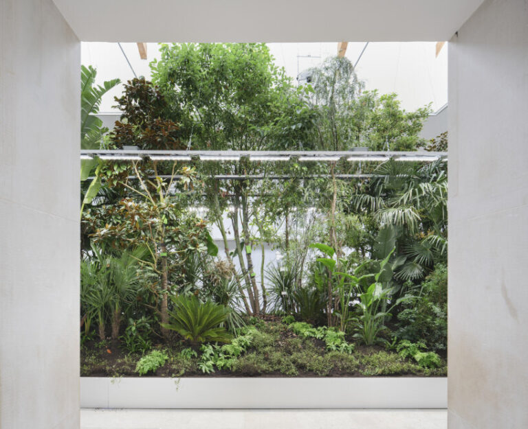 bas smets on building plant-filled biospheres in venice biennale