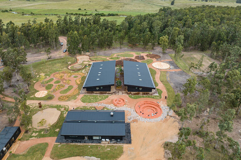 rosan bosch designs garzón school in eucalyptus forest in uruguay