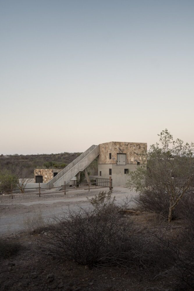 ludwig godefroy's casa la paz is a 'garden with a house' in mexico