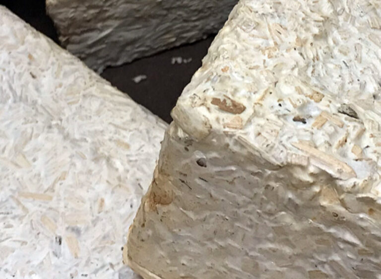 NASA to grow mycelium habitats in space for explorers