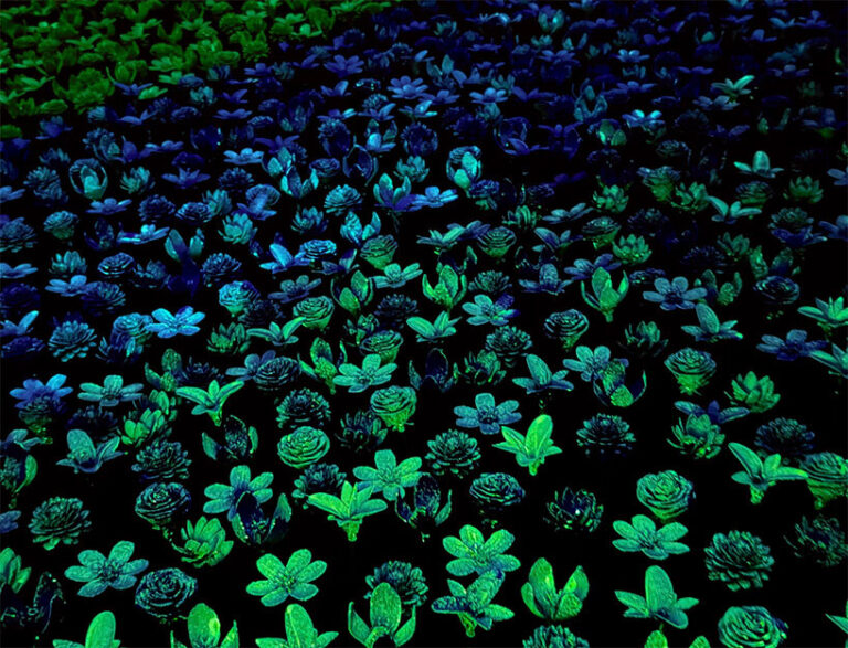 3D printed flowers by stuart semple take over jersey zoo in the UK