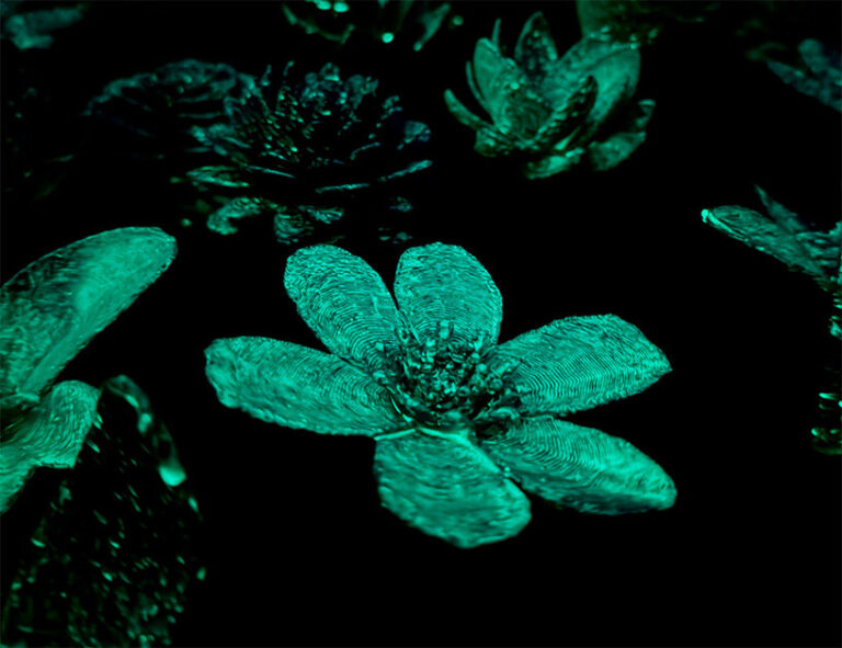 3D printed flowers by stuart semple take over jersey zoo in the UK