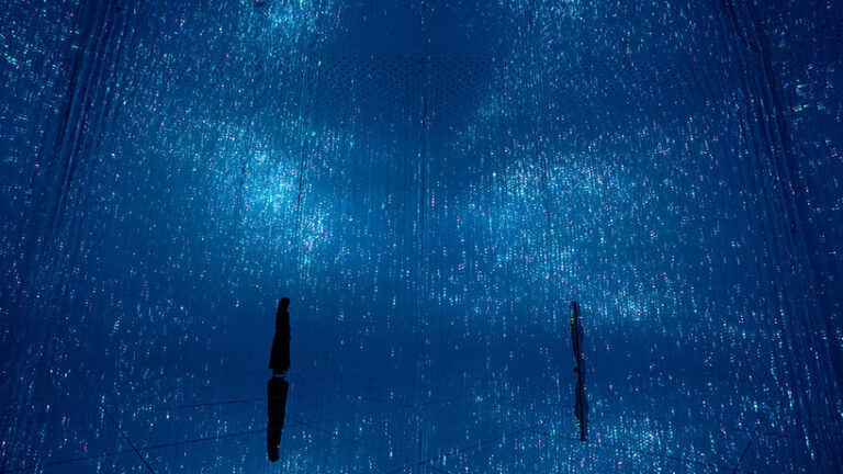 teamLab headlines launch of hamburg's UBS digital art museum