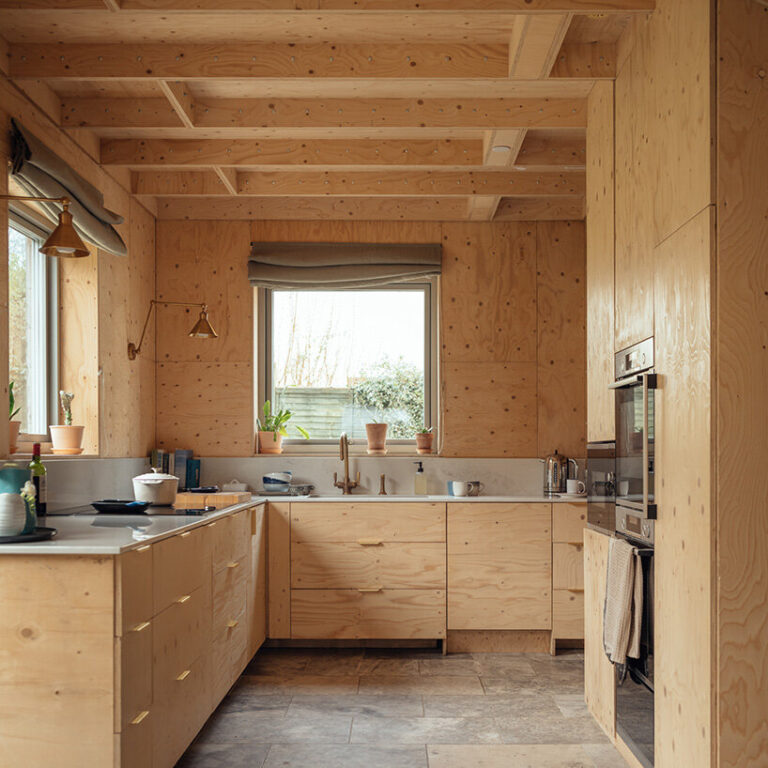 studio bark retrofits victorian 'meadow house' with cork and timber