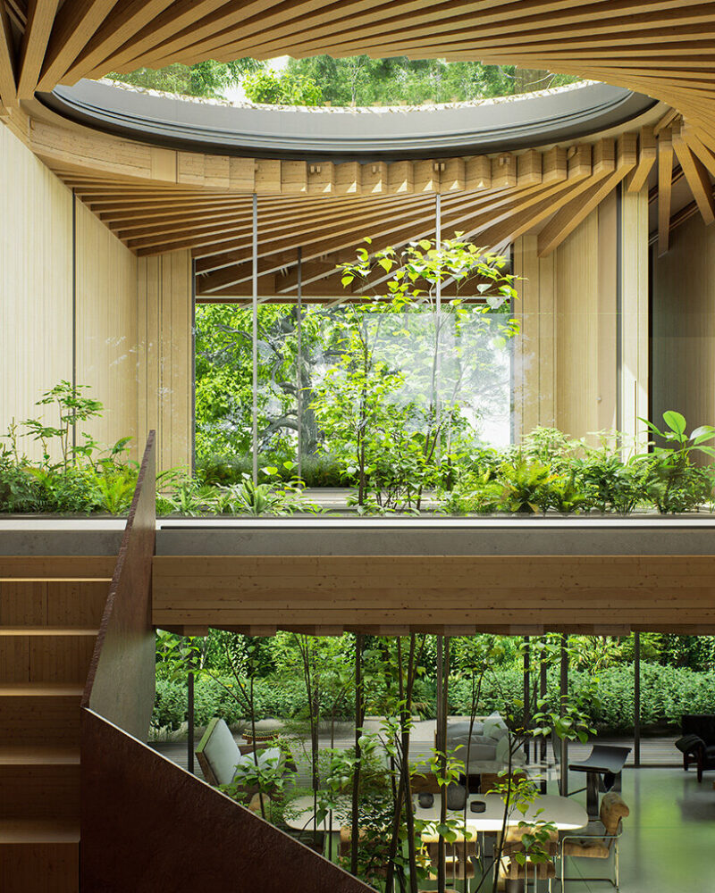 a spiraling, skylit timber structure to shape this brazilian home by victor ortiz