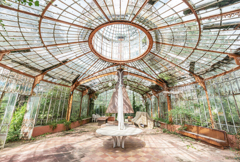 once-captive plants burst free in romain veillon's secret gardens