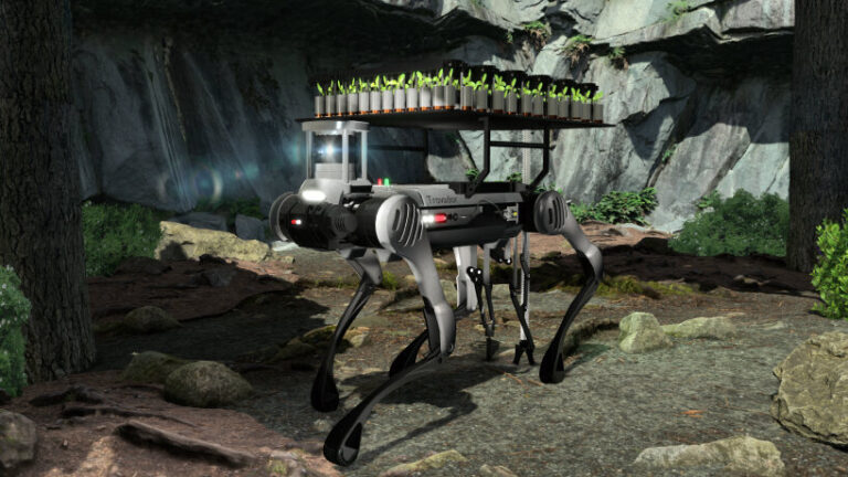 tree-planting robot saves burned land from deforestation