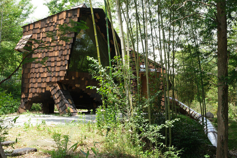 bamboo-clad guest room stretches like a cat in chinese forest
