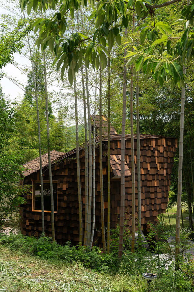 bamboo-clad guest room stretches like a cat in chinese forest