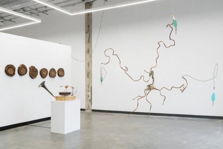 dead oak tree comes back to life as sound sculptures
